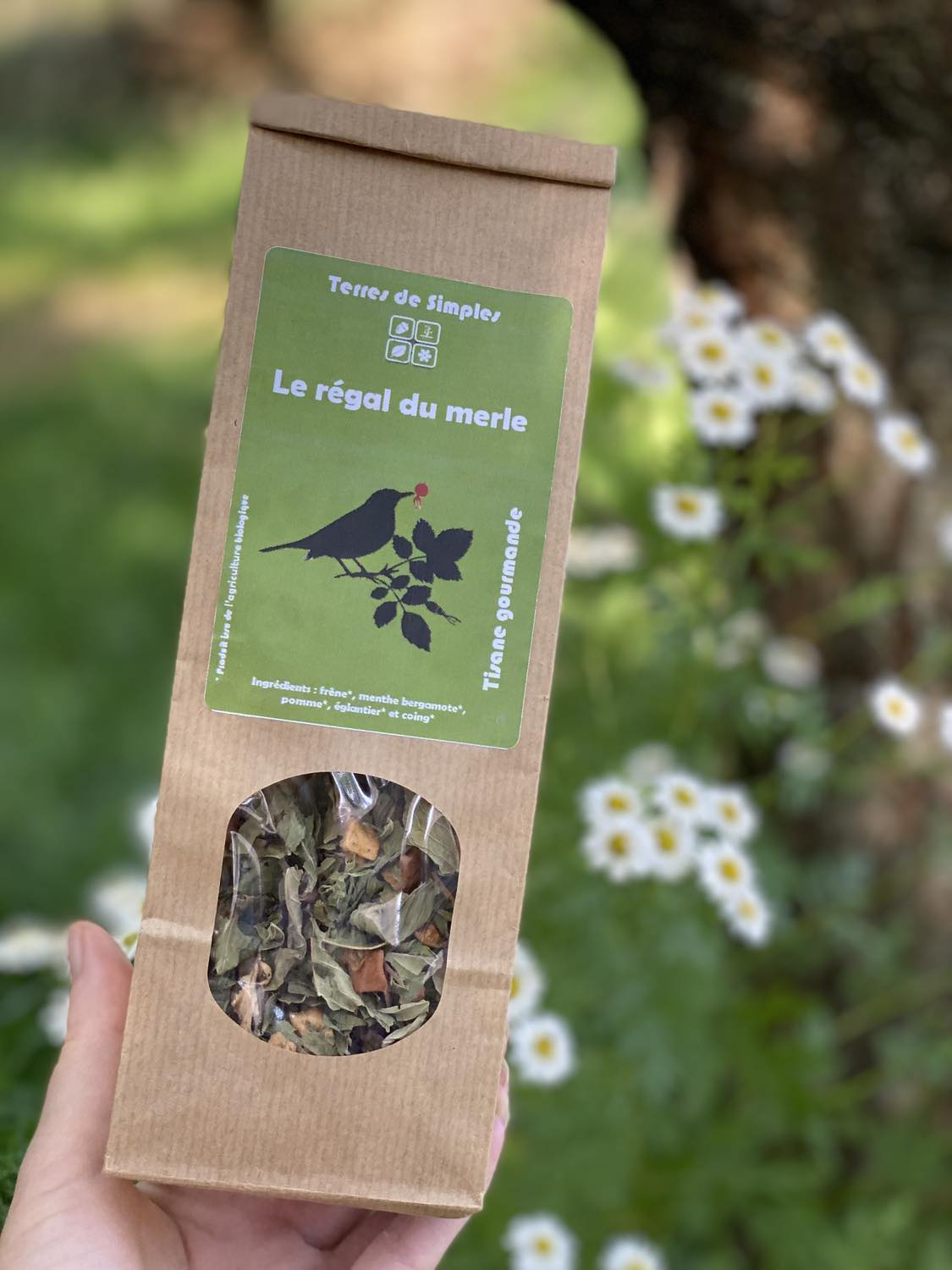 Le régal du merle - tisane – Mme Green